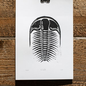TRILOBITE Dinosaur Fossil, Lino Cut Print, Wall Decor - Etsy
