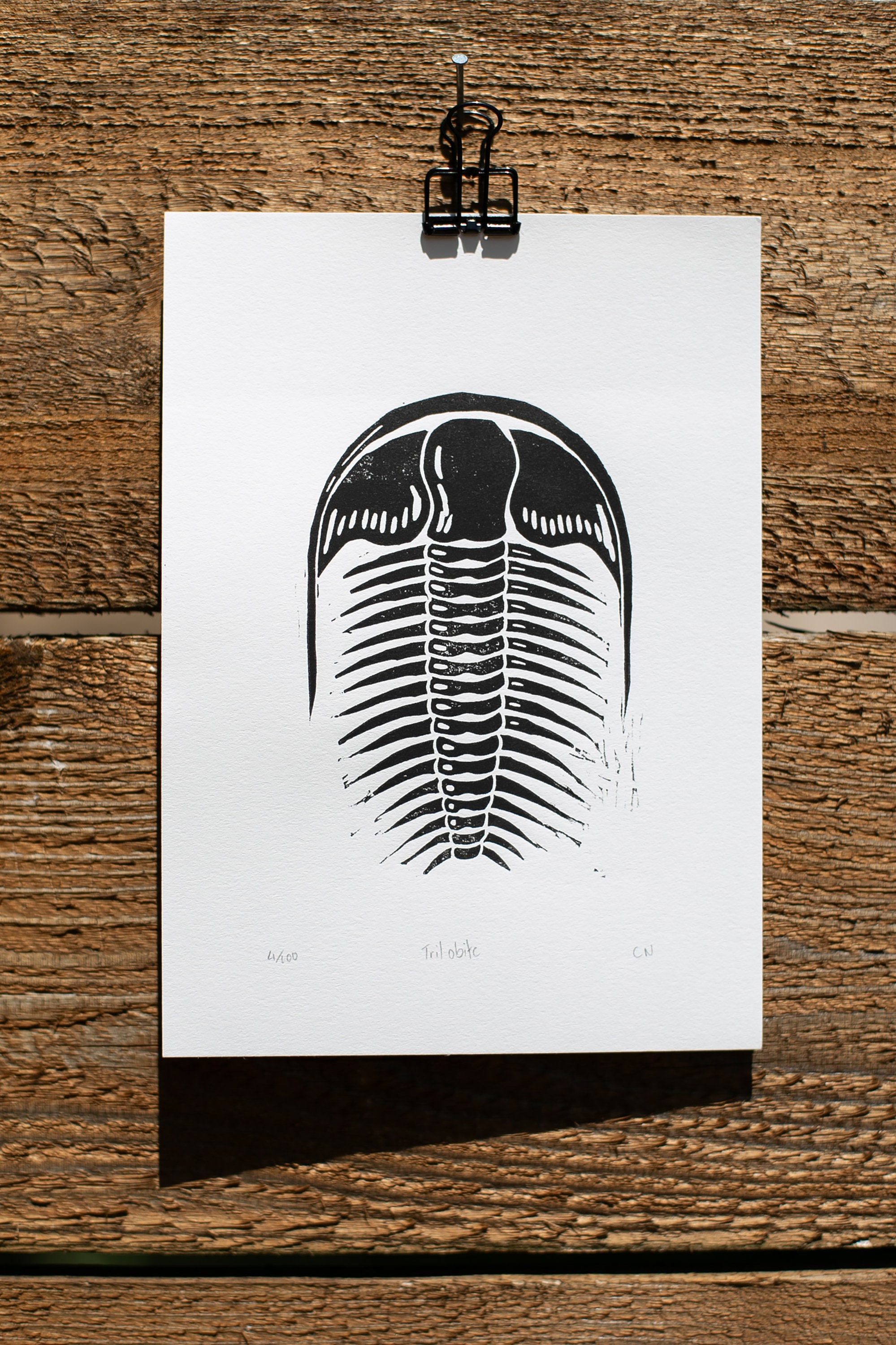 TRILOBITE Dinosaur Fossil, Lino Cut Print, Wall Decor - Etsy