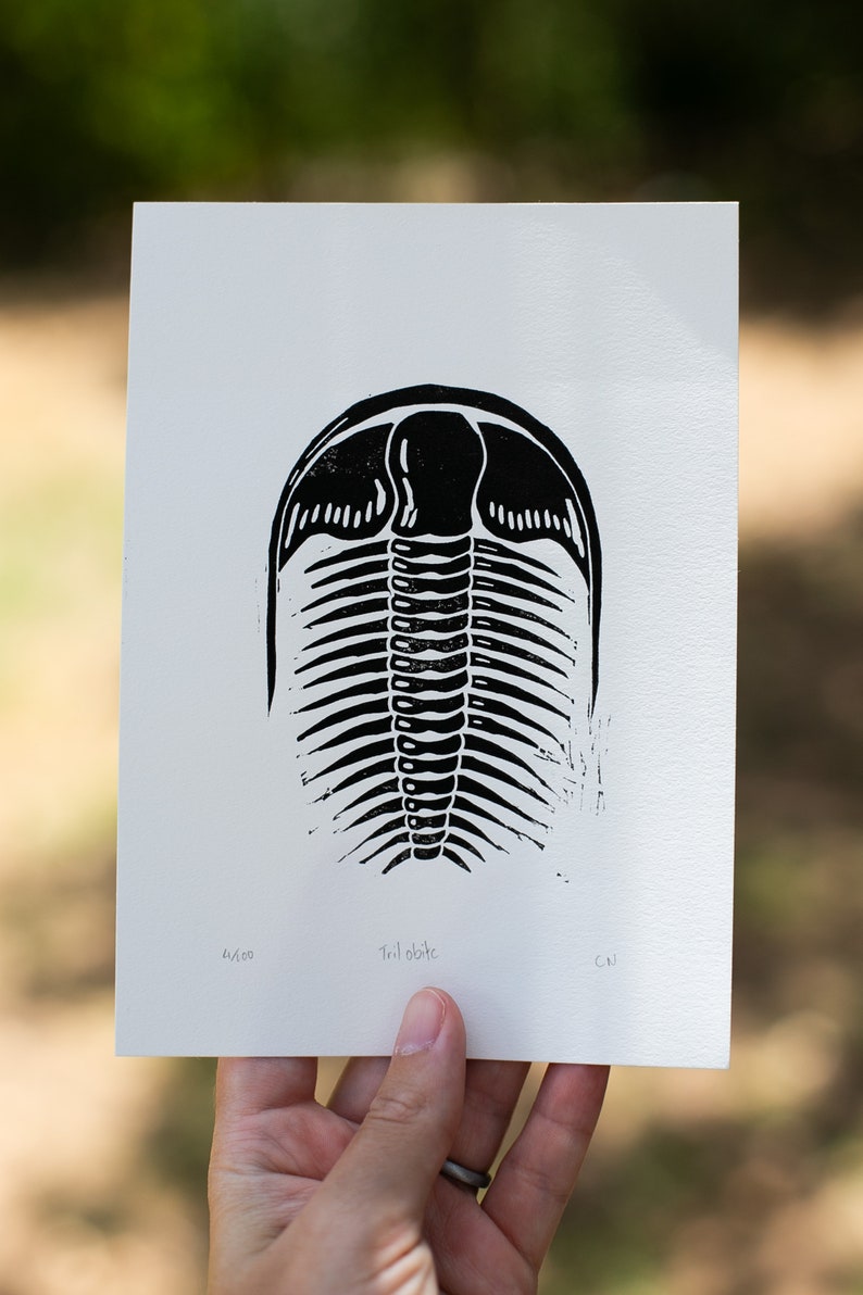 TRILOBITE Dinosaur Fossil, Lino Cut Print, Wall Decor - Etsy