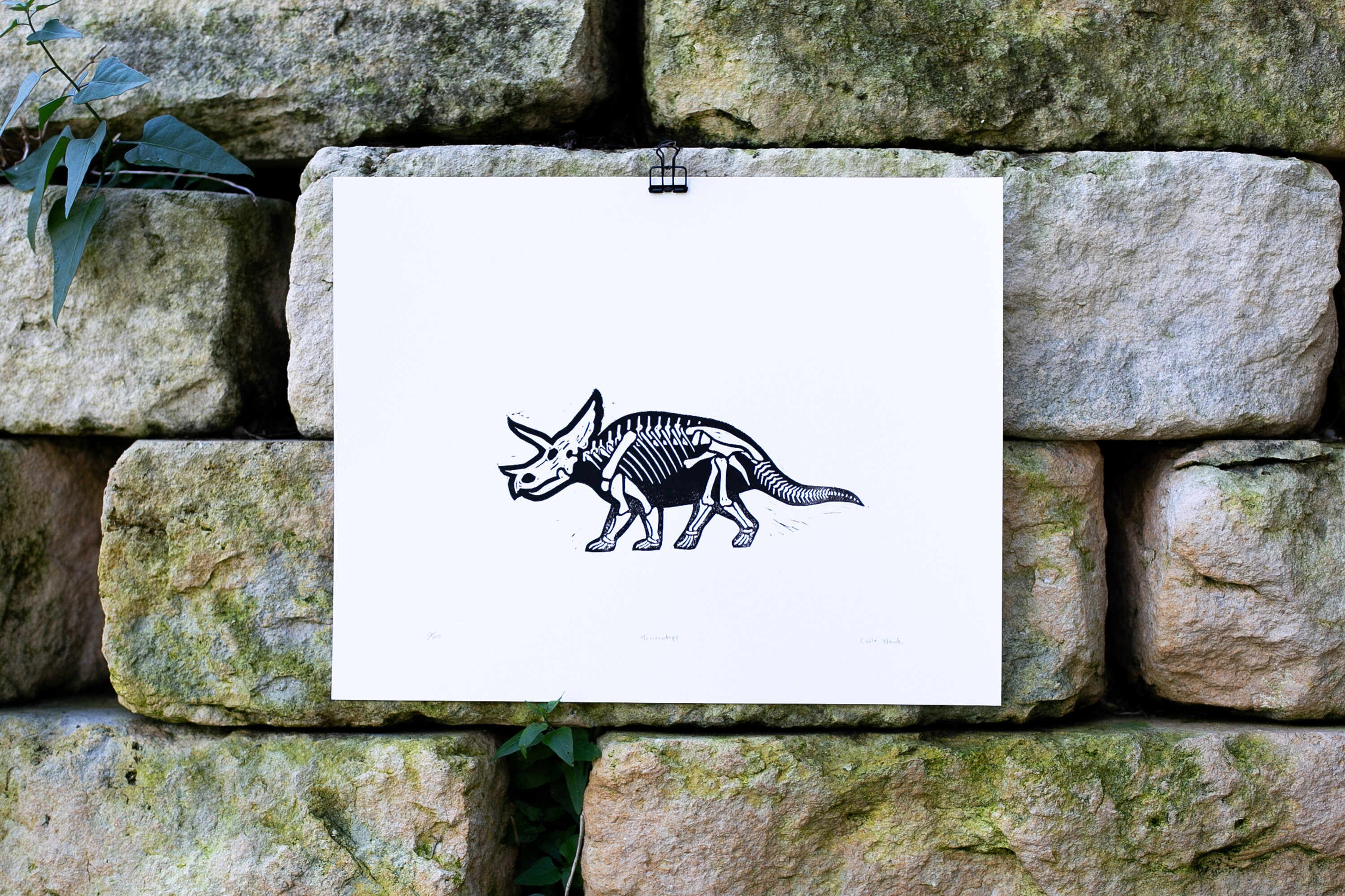 Triceratops, Ceratops Art Print, Dinosaur Skeleton Linocut Poster 11x14 ...
