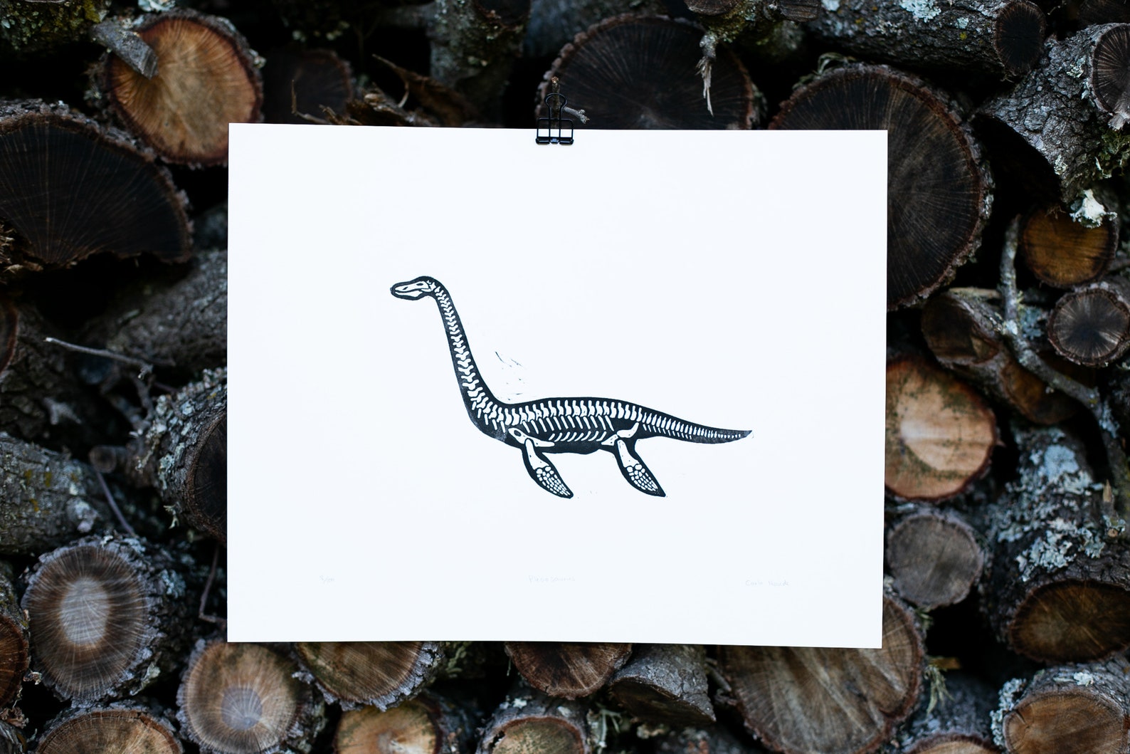 Plesiosaurus, Plesiosaur Art Print, Dinosaur Skeleton Linocut Poster ...