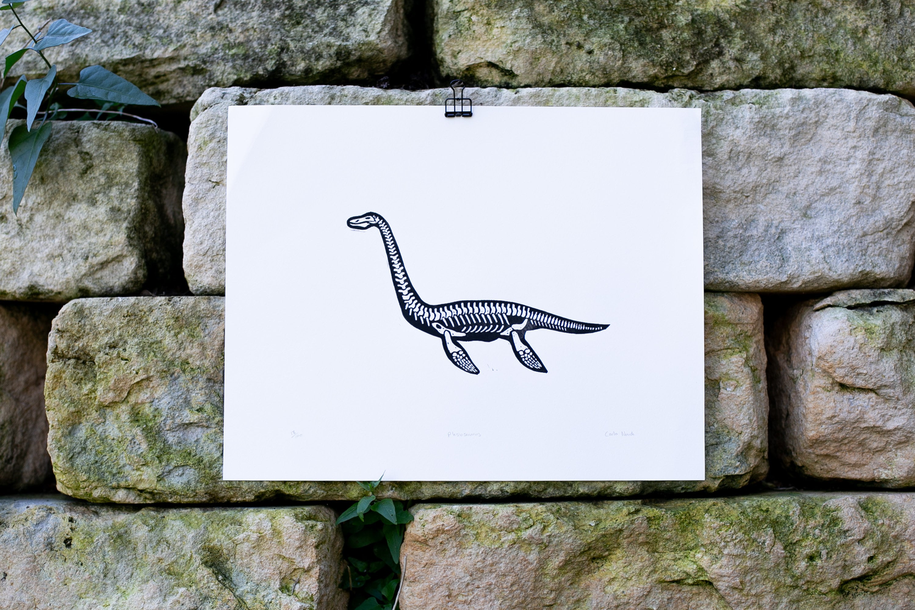 Plesiosaurus, Plesiosaur Art Print, Dinosaur Skeleton Linocut Poster ...