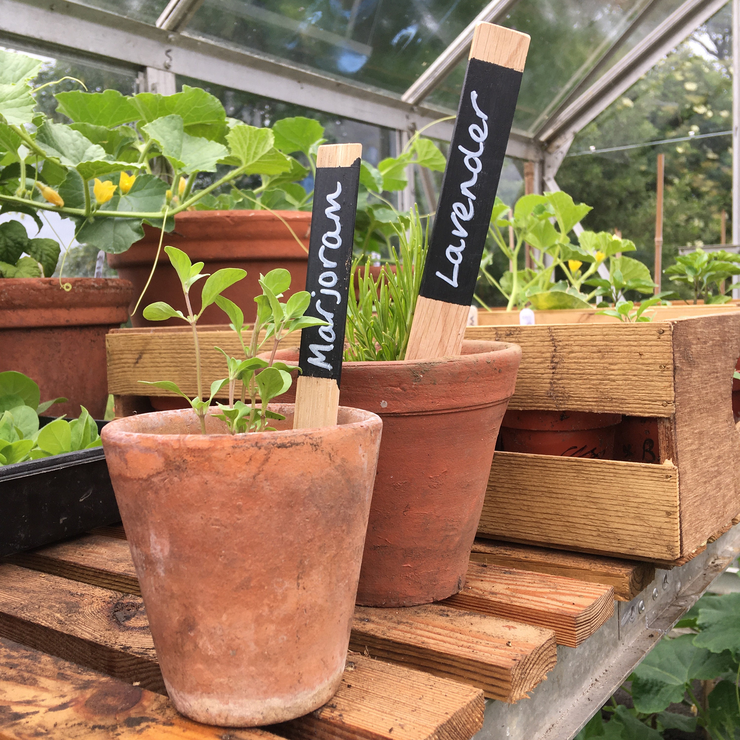 Wooden chalkboard plant labels & marker pen — Baycraft Studio