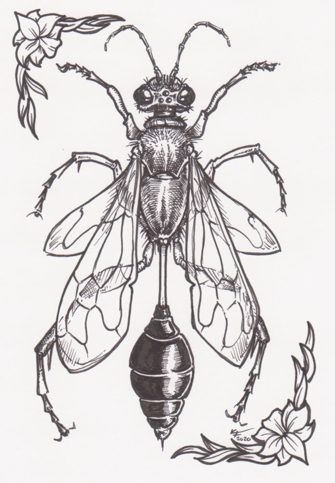 Mud Dauber Wasp With Floral Border Original Art by Kenny | Etsy