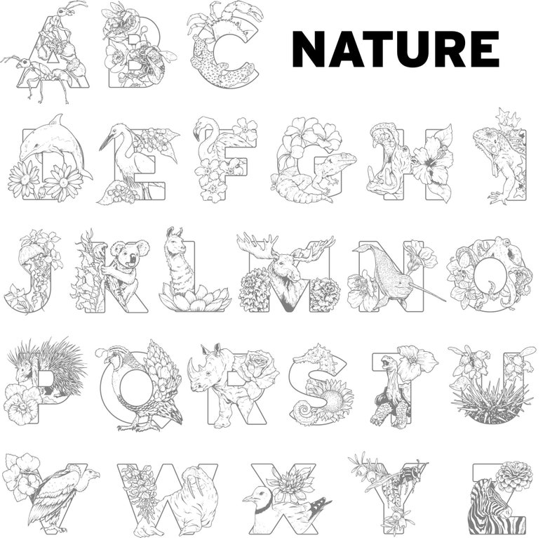 NATURE Coloring Book –art by Kenny Farmer – Alphabet Coloring Book, A-Z ...