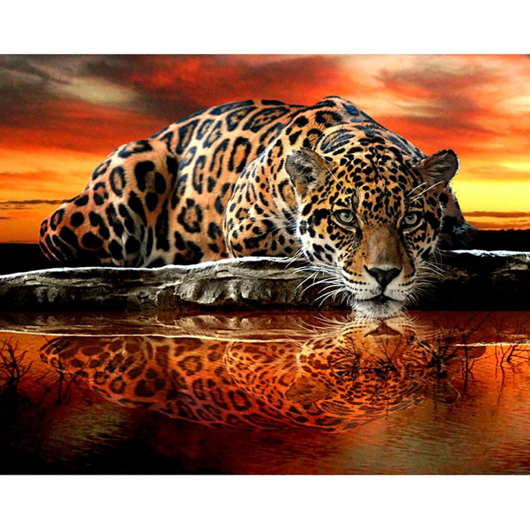 Full Drill Square 5D DIY Diamond Painting leopard - Etsy