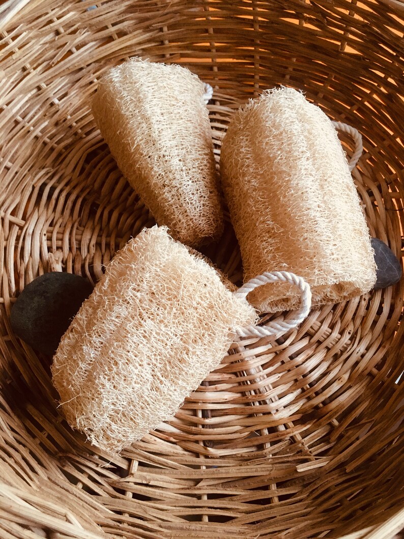 Loofah /luffa/natural Sponges /11 Cm/body and Dish /% 100 Organic /zero ...