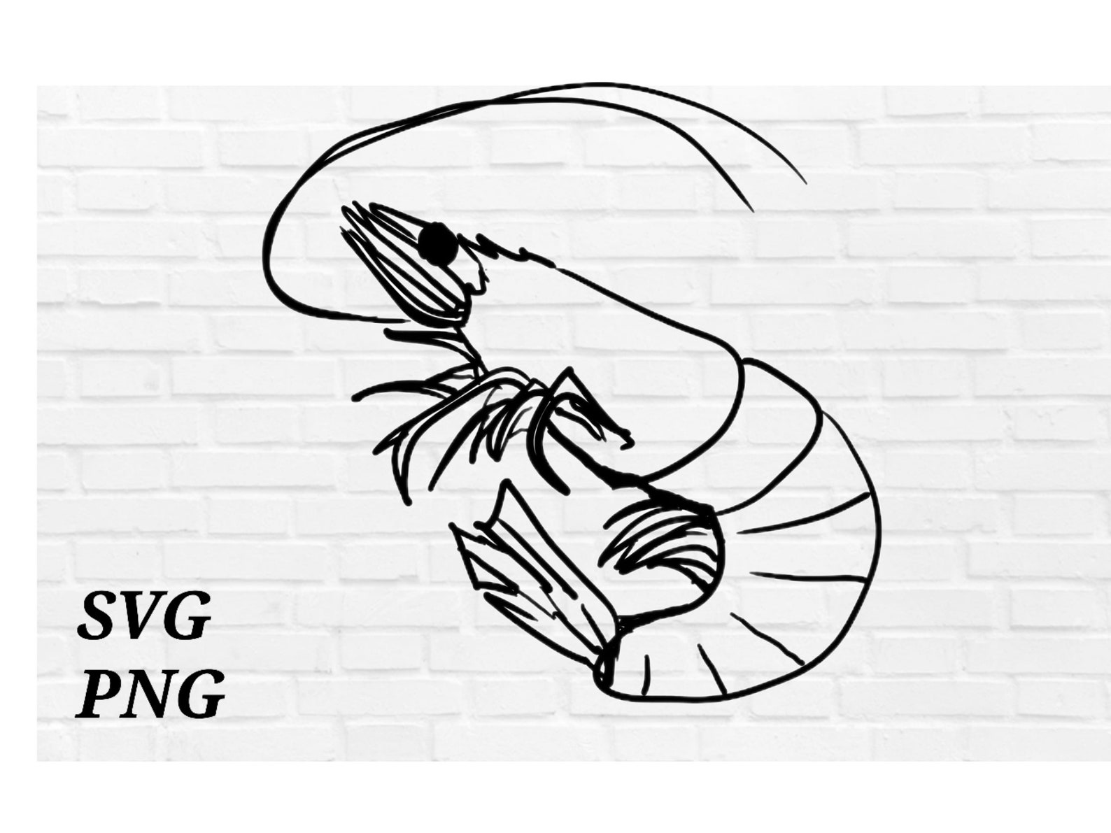 Prawn Line Art Prawn SVG, Prawn Cut File, Seafood PNG, Seafood Clipart ...