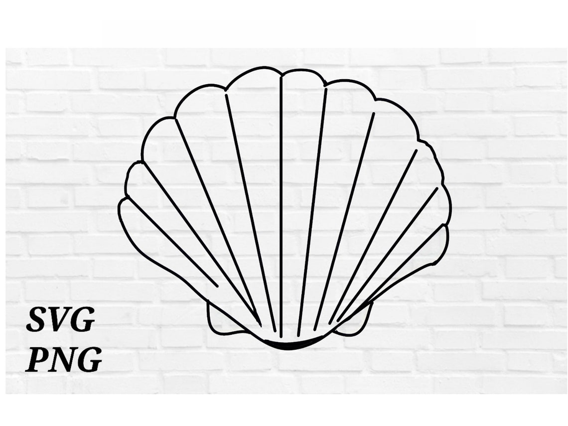 Canvas & Surfaces Shell Line Art Shell SVG, Shell Cut File, Seafood PNG ...