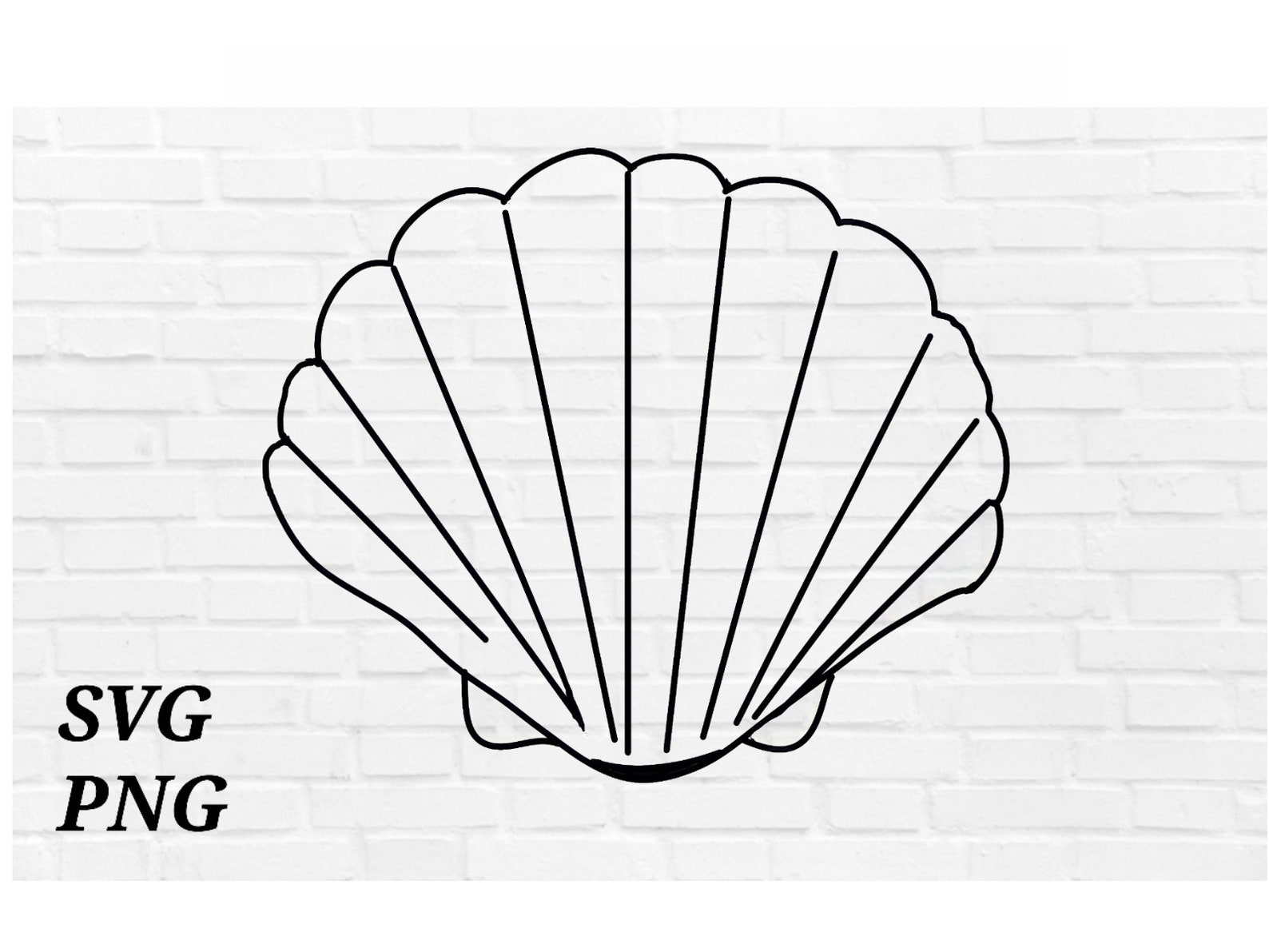 Canvas & Surfaces Shell Line Art Shell SVG, Shell Cut File, Seafood PNG ...