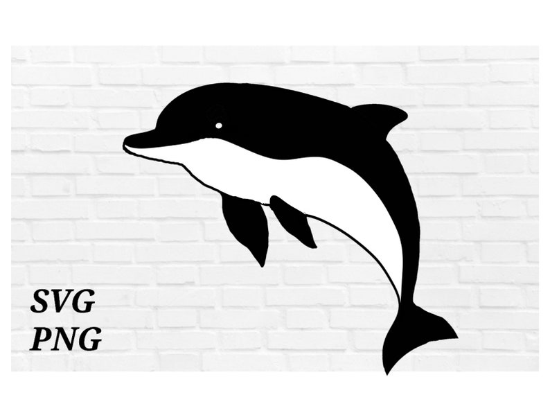 Dolphin Svg, Dolphin Vector, Cute Dolphin Instant Download - Etsy