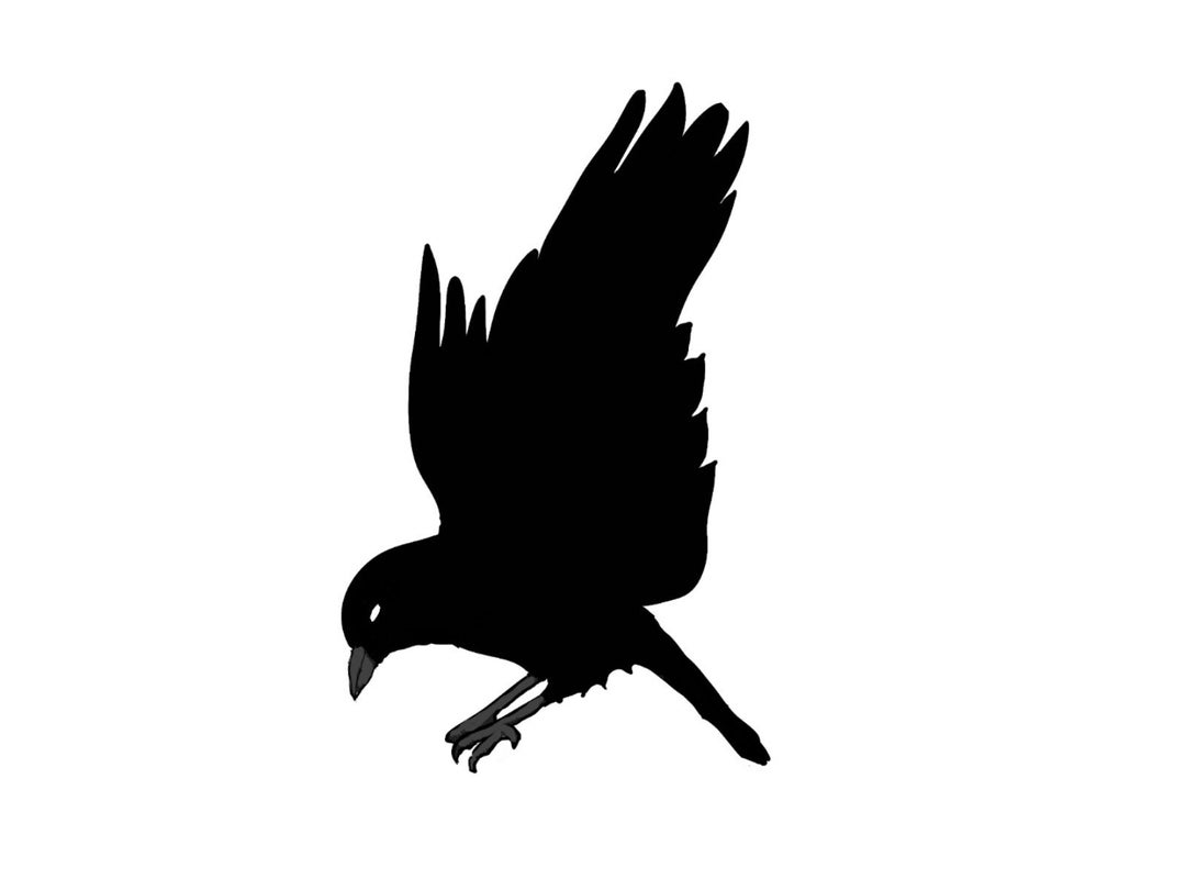 Modern Crow Illustration With Customizable Logo Design Perfect for ...
