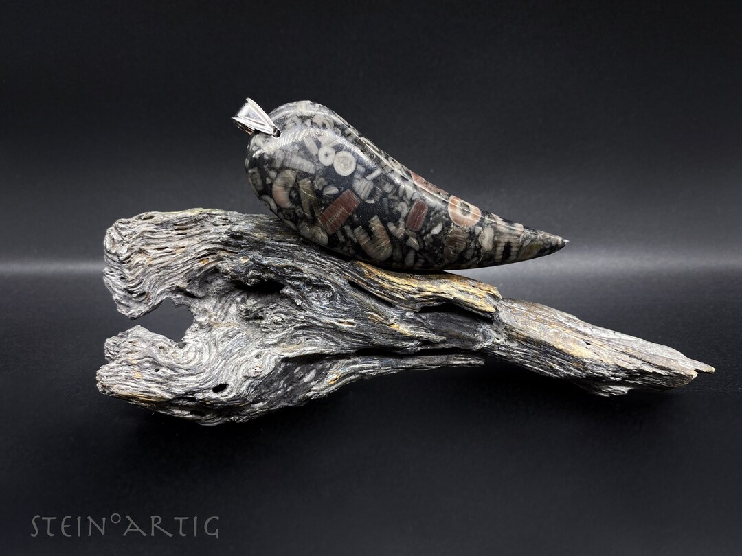 Pendant Gemstone 'crinoid-limestone' *XL*, 925 - Etsy