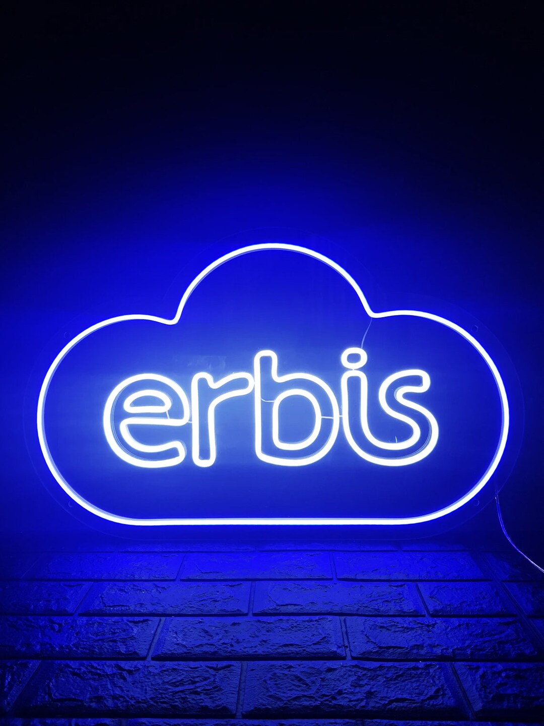 Custom LED Neon Sign for Aesthetic Room Decor, Custom Business Light ...