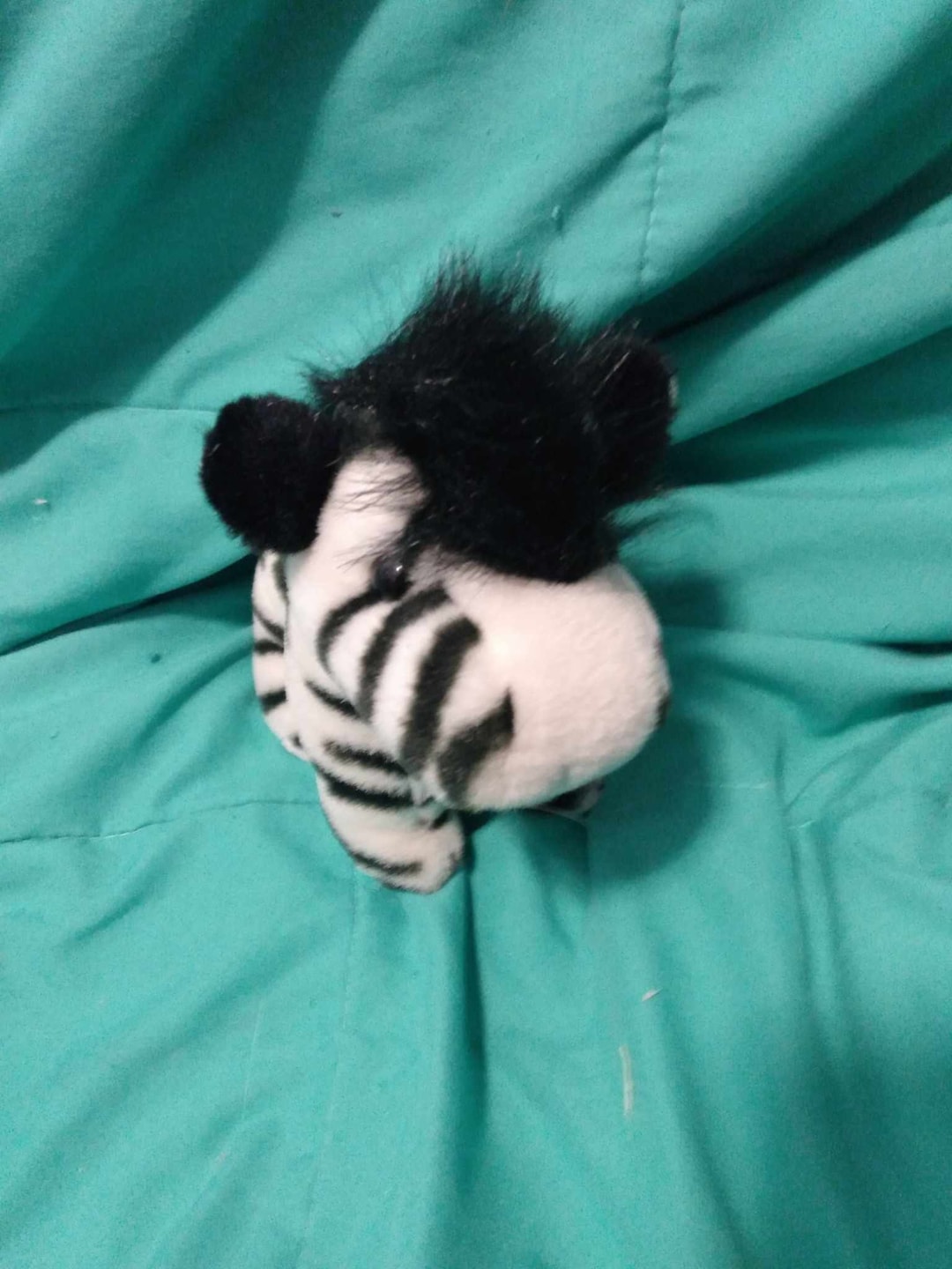 Zebra Plushie - Etsy