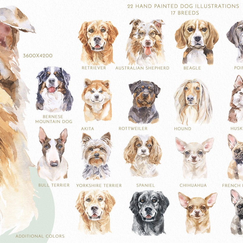 Watercolor Dog Print - Etsy