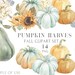 Fall Boho Pastel Pumpkin & White Flower Clipart Set. Watercolor Floral ...