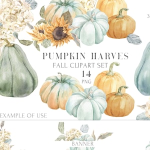 Fall Boho Pastel Pumpkin & White Flower Clipart Set. Watercolor Floral ...