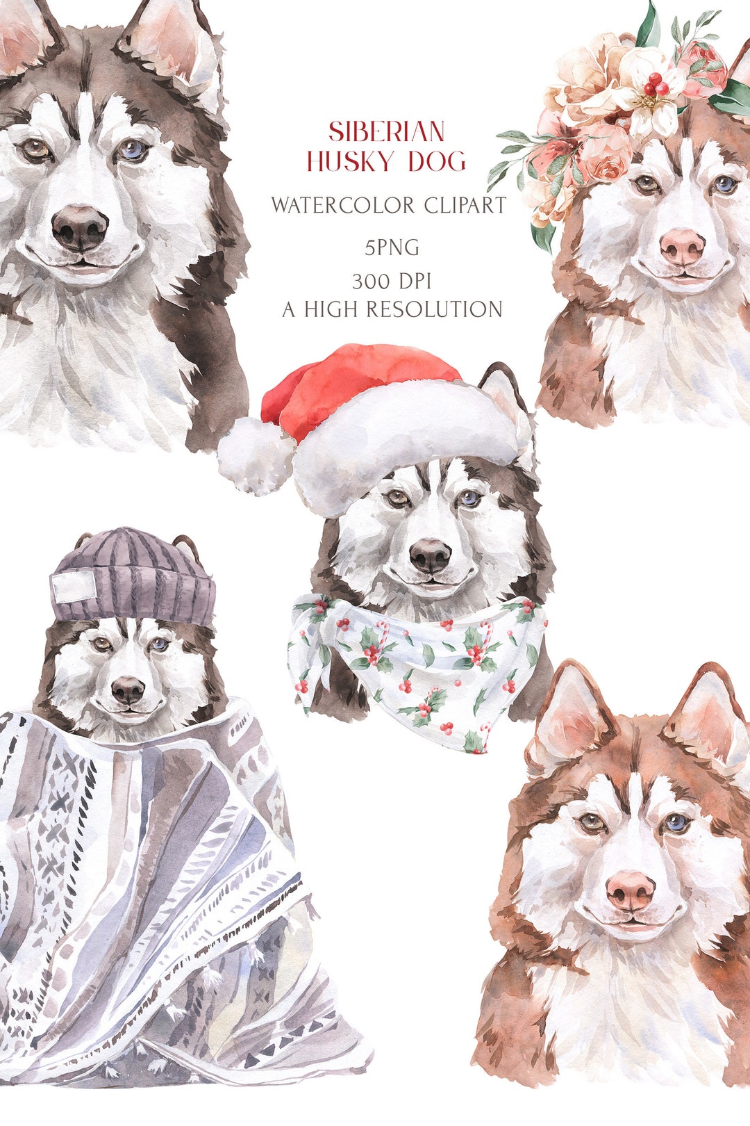 Siberian Husky Watercolor Clipart Set. Dog Lovers Christmas Gift ...
