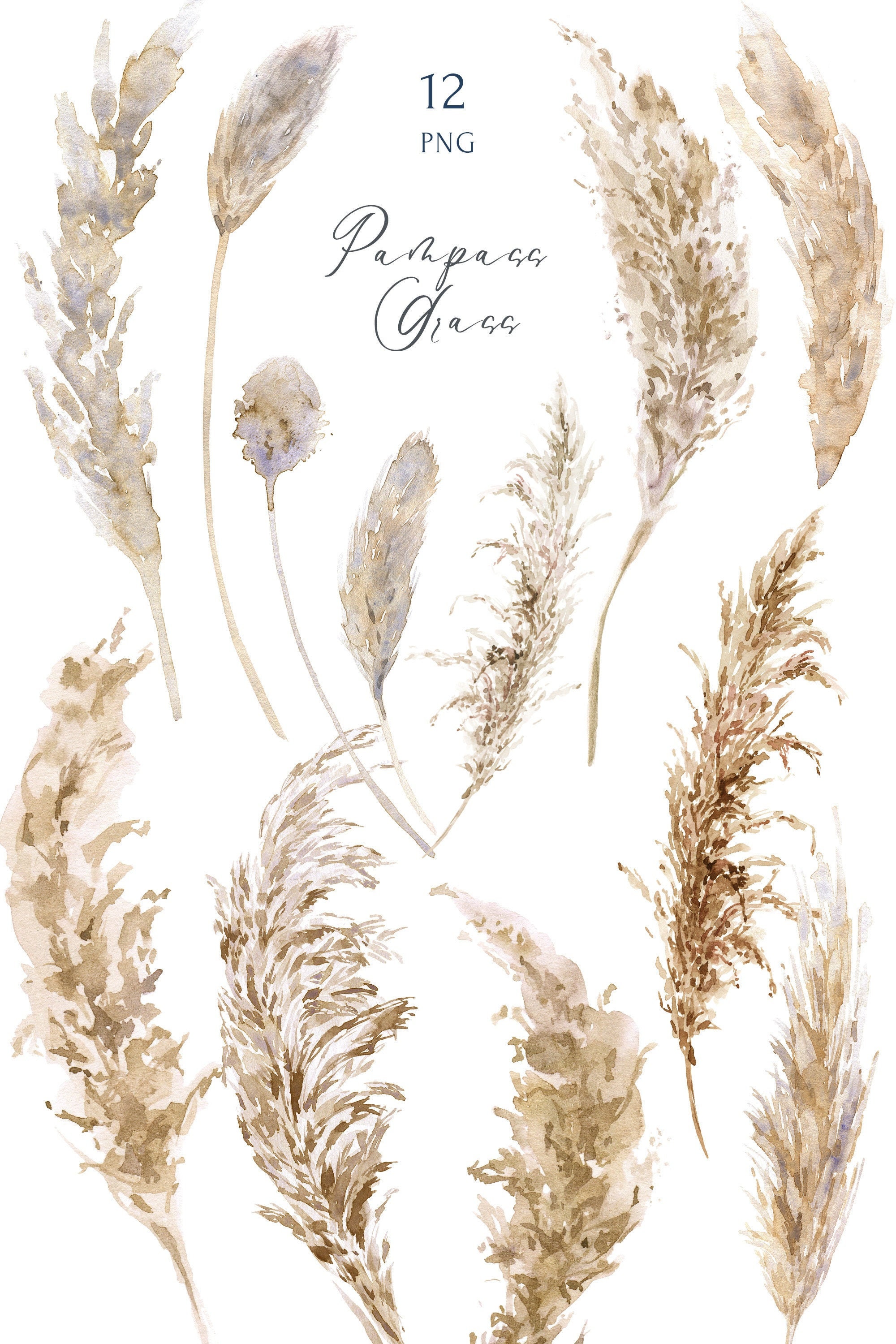 Pampas Grass clipart set. Boho Watercolor Bohemian Wedding | Etsy