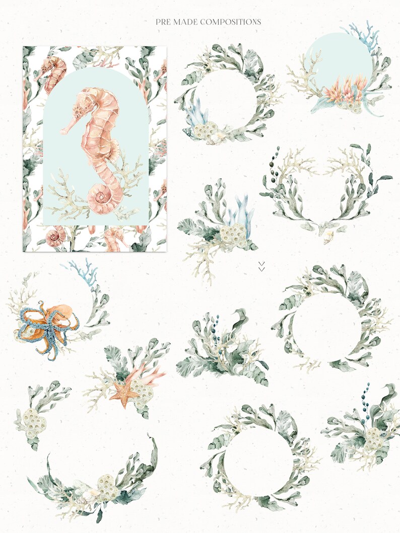 Underwater Animals, Coral, Seashell Clipart. Sea Boho Tropical Wedding ...