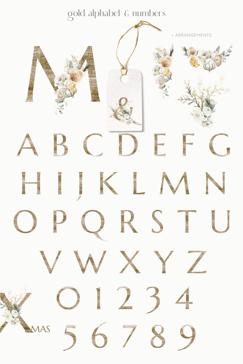 Gold & Blue Alphabet Numbers Clipart. Winter Snow Pastel | Etsy