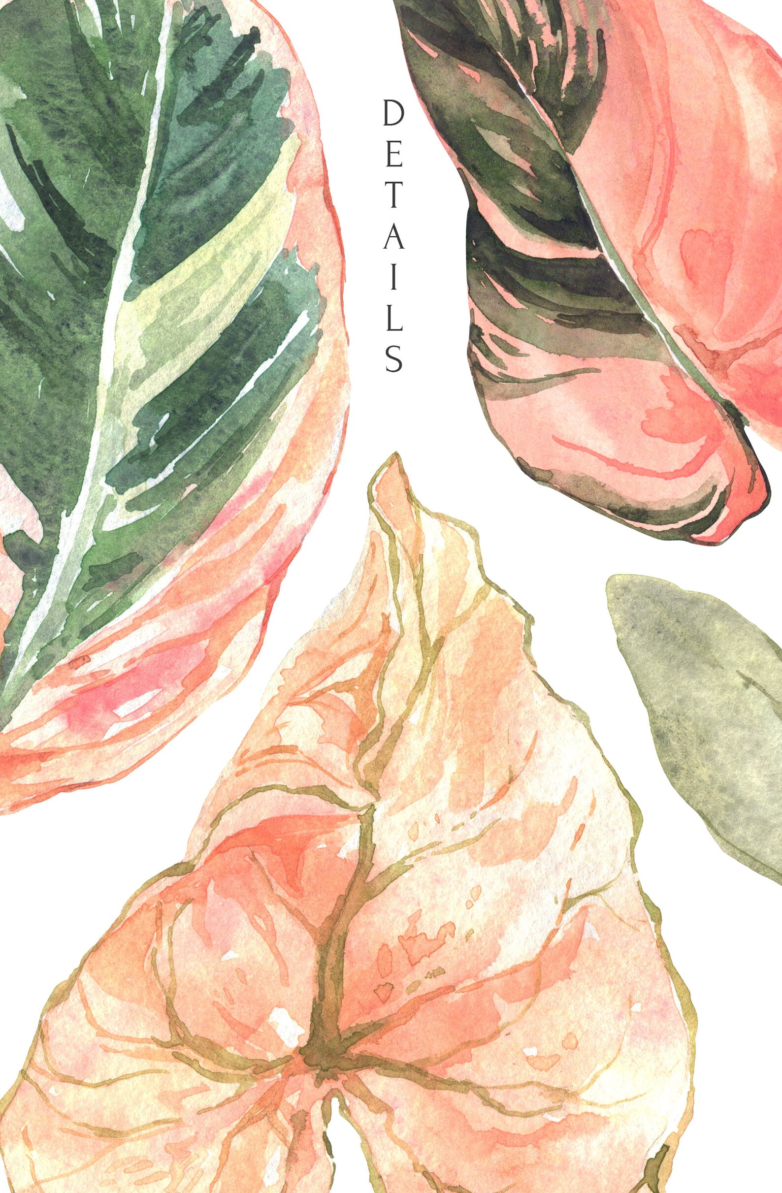 Tropical Floral, Greenery Clipart Set. Peachy Flower Clip Art. Hand ...