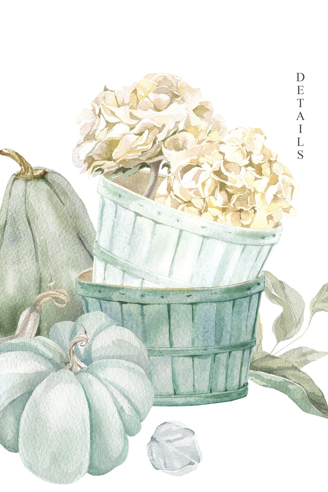 Fall Boho Pastel Pumpkin & White Flower Clipart Set. - Etsy