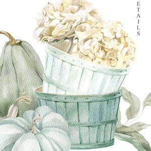Fall Boho Pastel Pumpkin & White Flower Clipart Set. Watercolor Floral ...