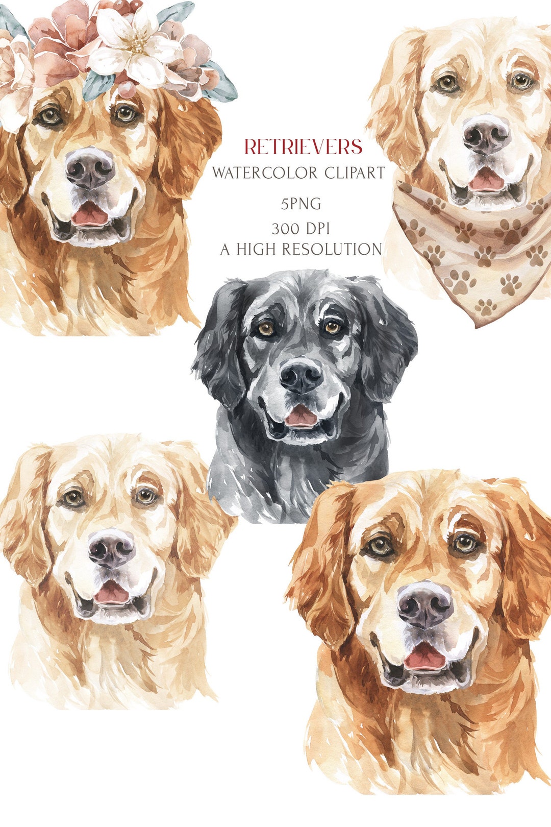 Golden Retriever Watercolor Clipart Set. Dog Lovers Gift Instant ...