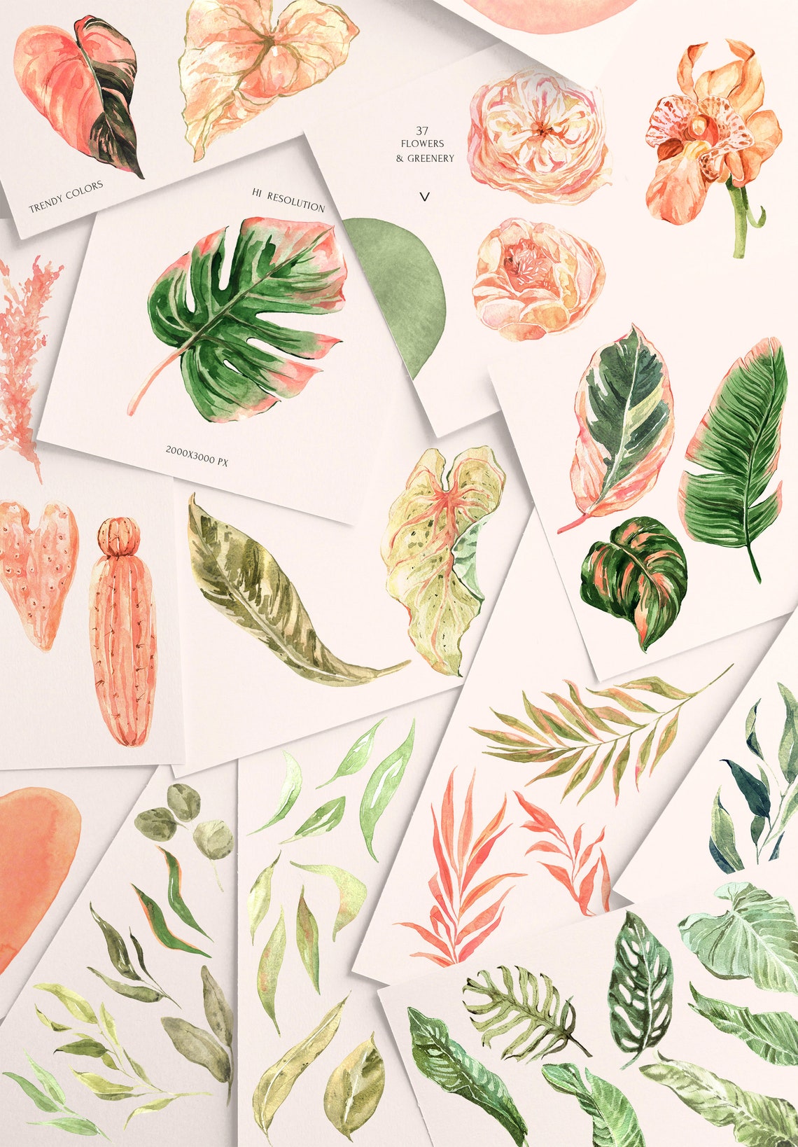 Tropical Floral Greenery Clipart Set. Peachy Flower Clip Art. - Etsy