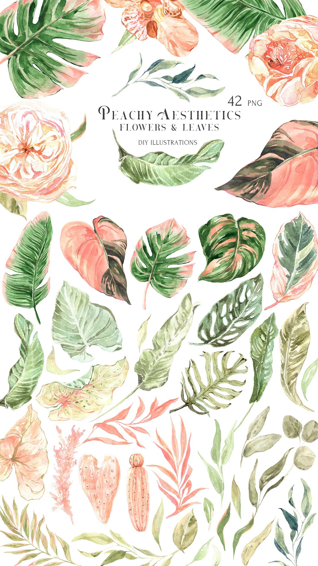 Tropical Floral, Greenery Clipart Set. Peachy Flower Clip Art. Hand ...