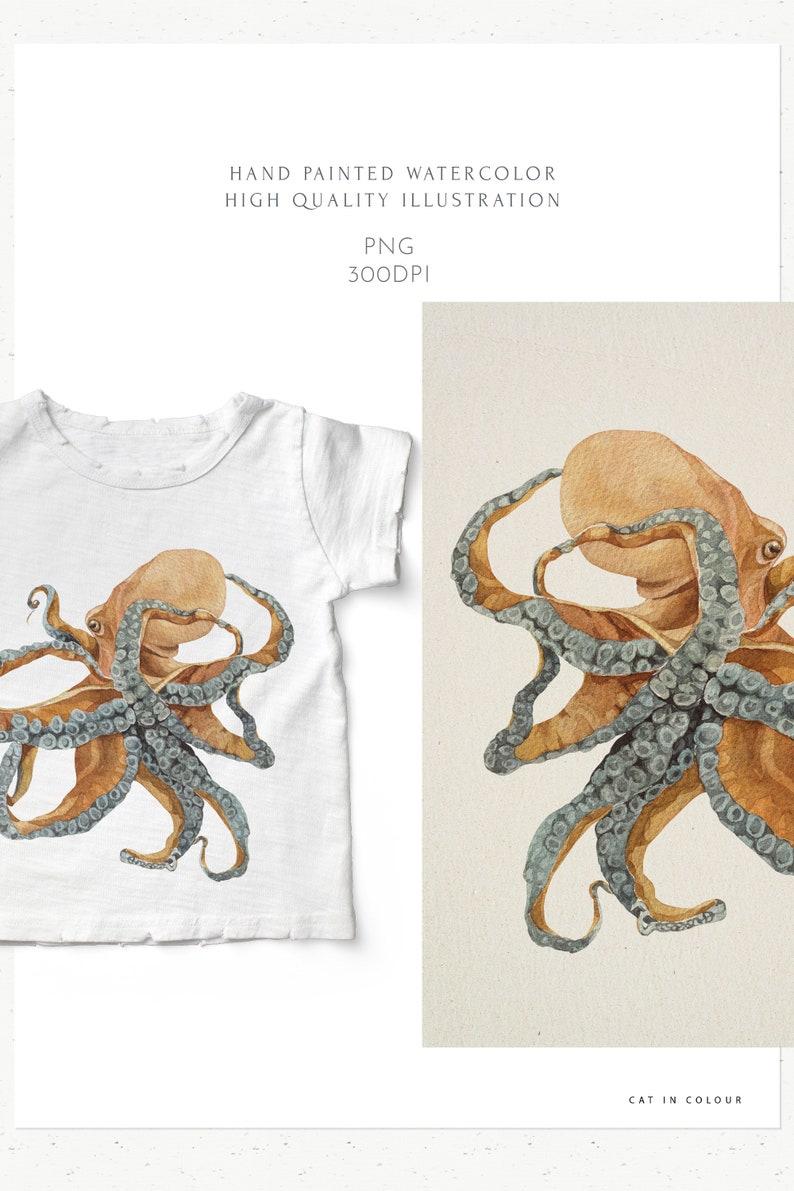 Watercolor Octopus Clipart. Underwater Animal Clip Art. Sea - Etsy