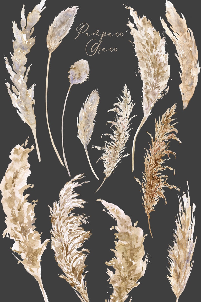 Pampas Grass clipart set. Boho Watercolor Bohemian Wedding | Etsy