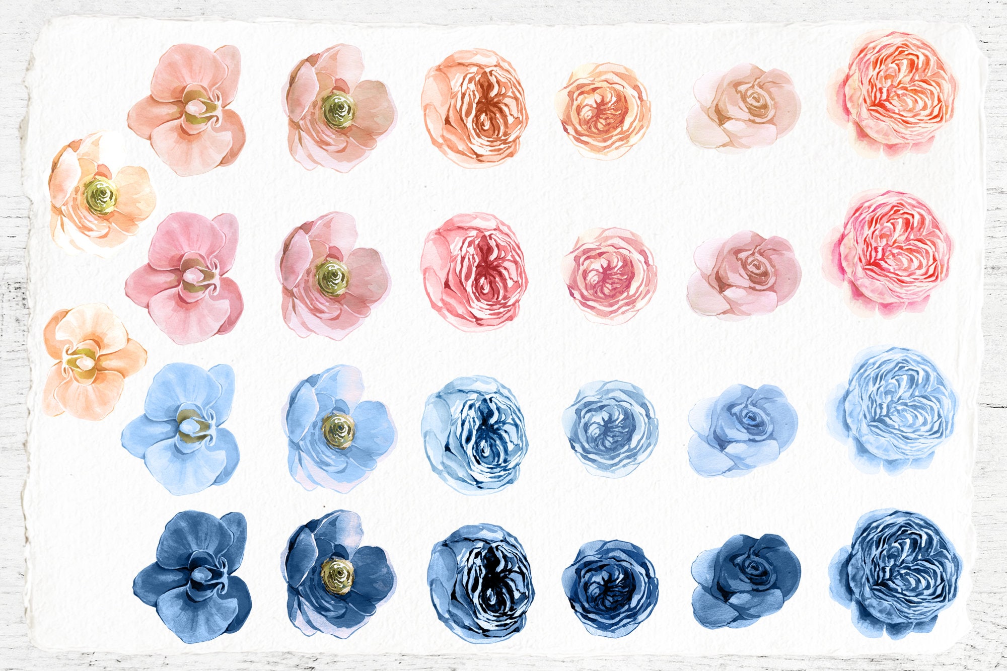Boho Wedding Watercolor Set Clipart Tropical Ceremony Decor, Wood ...