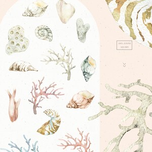 Underwater Animals, Coral, Seashell Clipart. Sea Boho Tropical Wedding ...