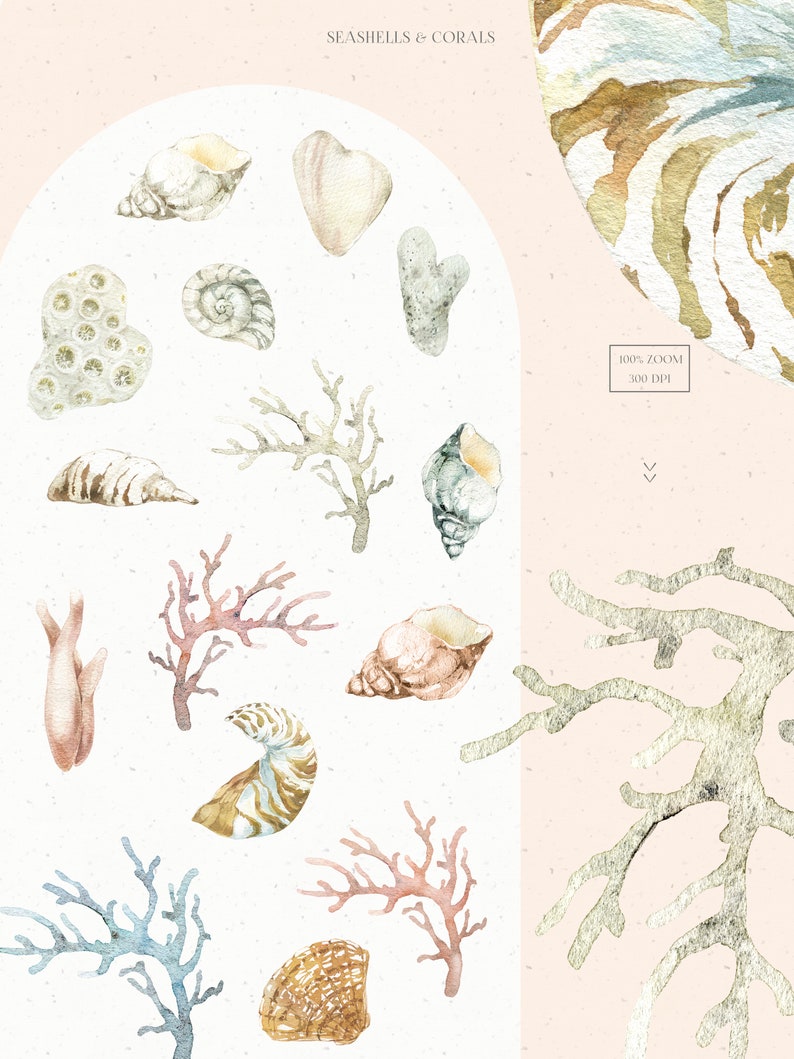 Underwater Animals, Coral, Seashell Clipart. Sea Boho Tropical Wedding ...