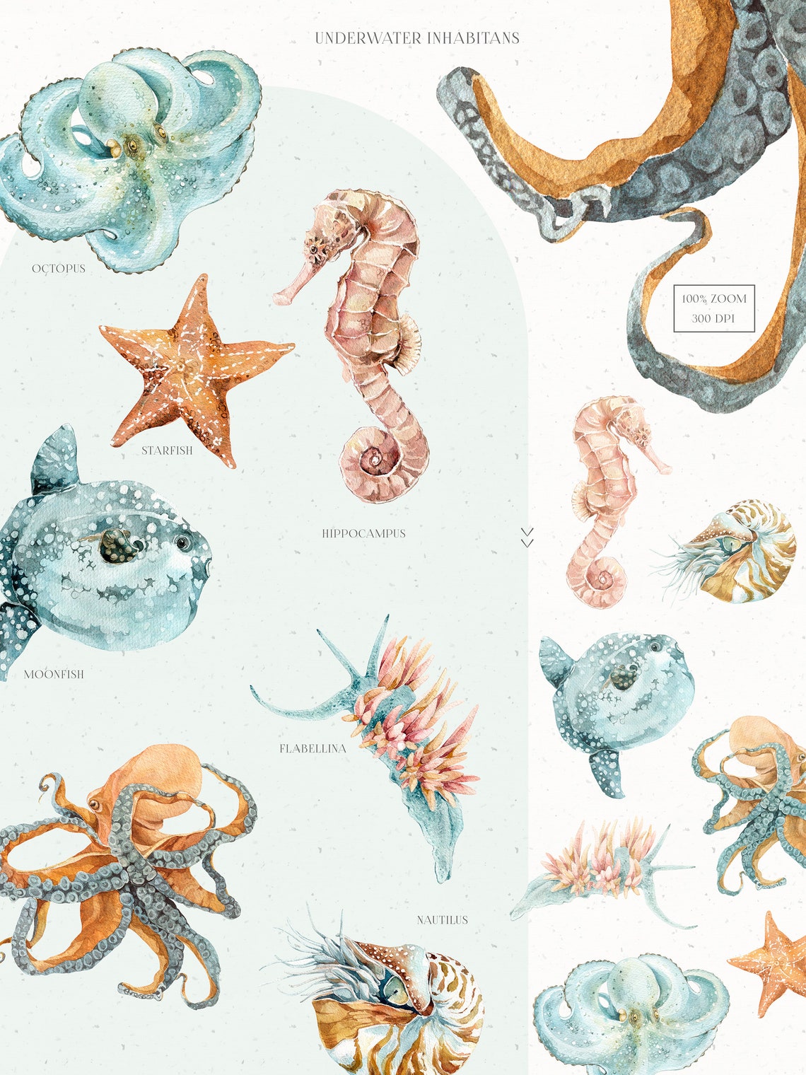 Underwater Animals clipart set. Watercolor octopus | Etsy