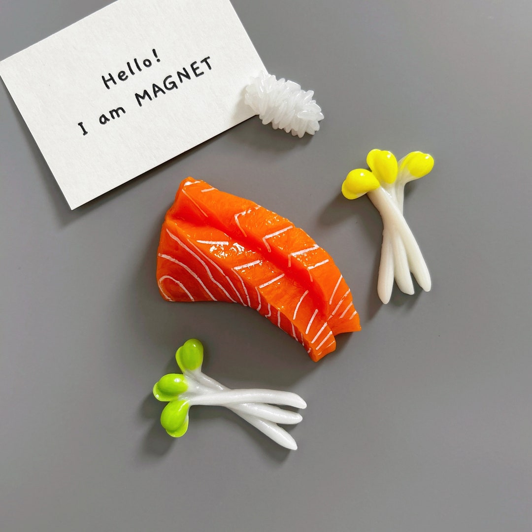 Sushi Salmon Flatfish Tuna Refrigerator Cool Fridge Magnets Set Cute ...