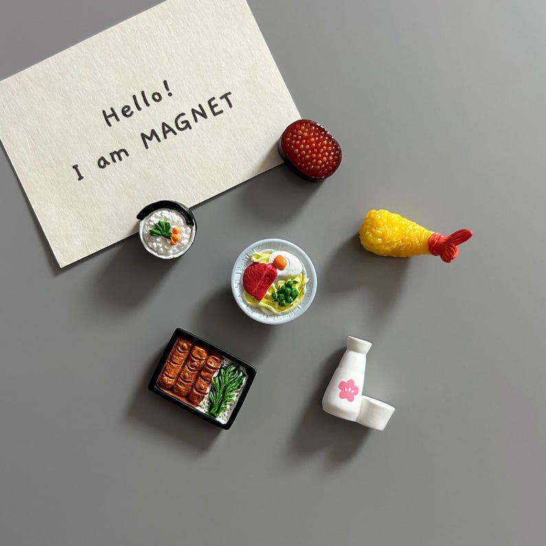 Japanese Food Fridge Magnet Set - Sushi, Ramen, Bento, Onigiri - Etsy
