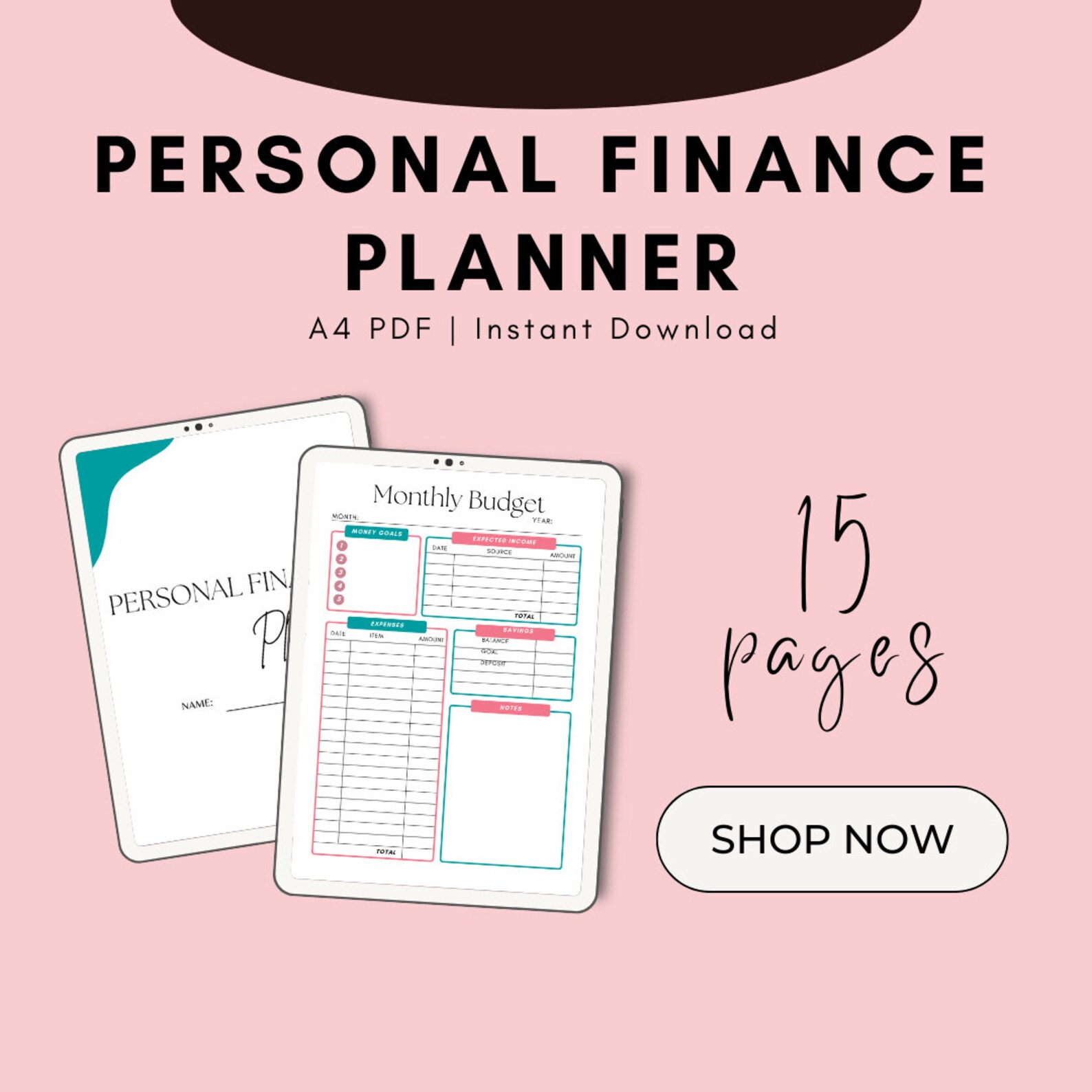Personal Finance Planner Printable Money Planner Budget - Etsy