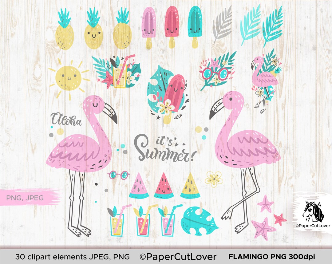 Flamingo Clipart Clip Art Cute Flamingo PNG Tropical Baby Pink Flamingo ...