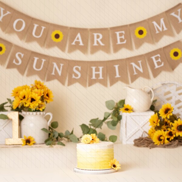 You Are My Sunshine Wall Backdrop - Etsy