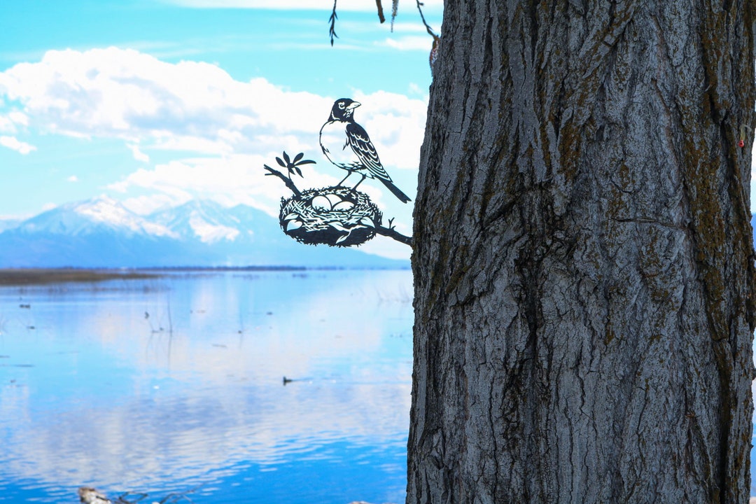 Steel Robin With Nest Decoration - Etsy