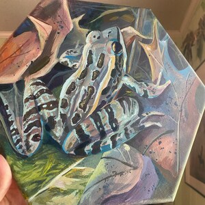 Original Hexagon Painting Leopard Frog - Etsy