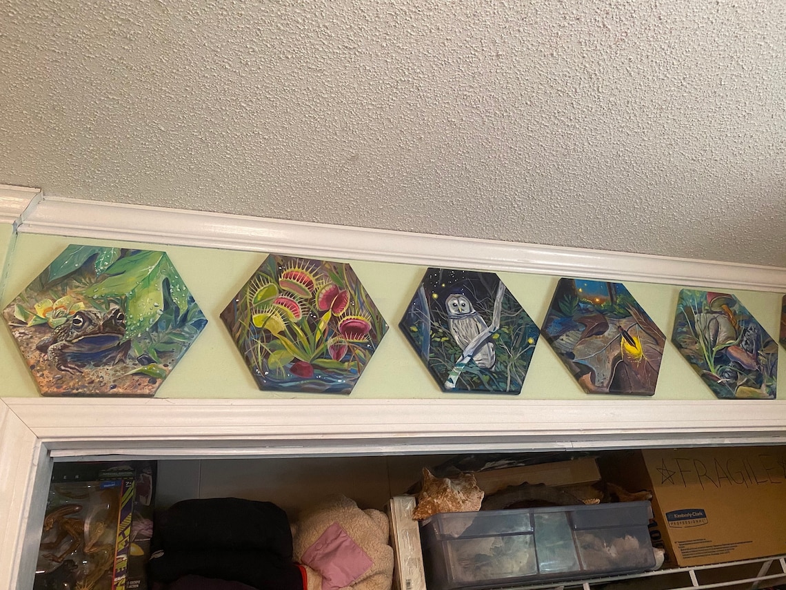 Original Hexagon Painting Leopard Frog - Etsy