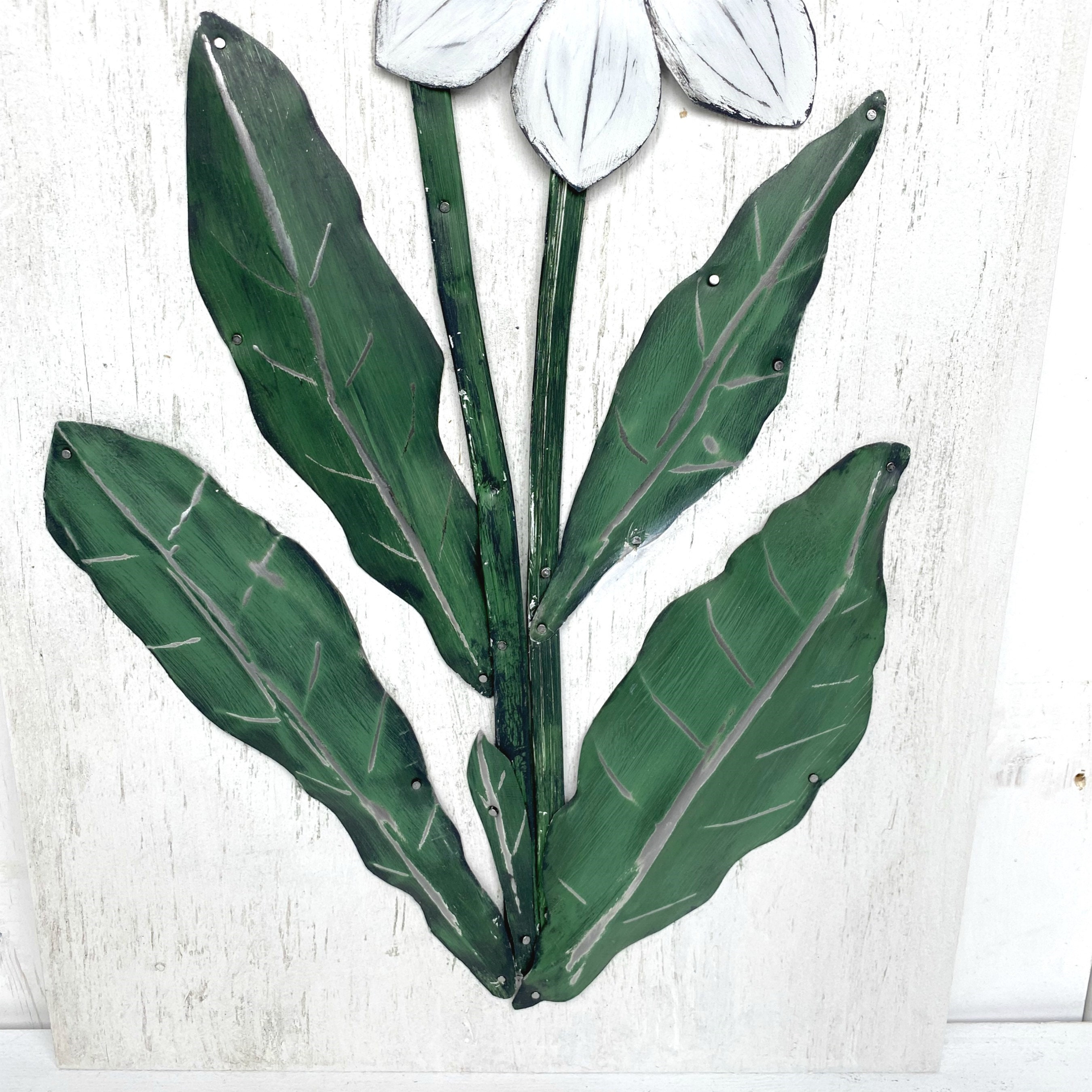 White Daisy Vintage Botanical Tin Art | Etsy