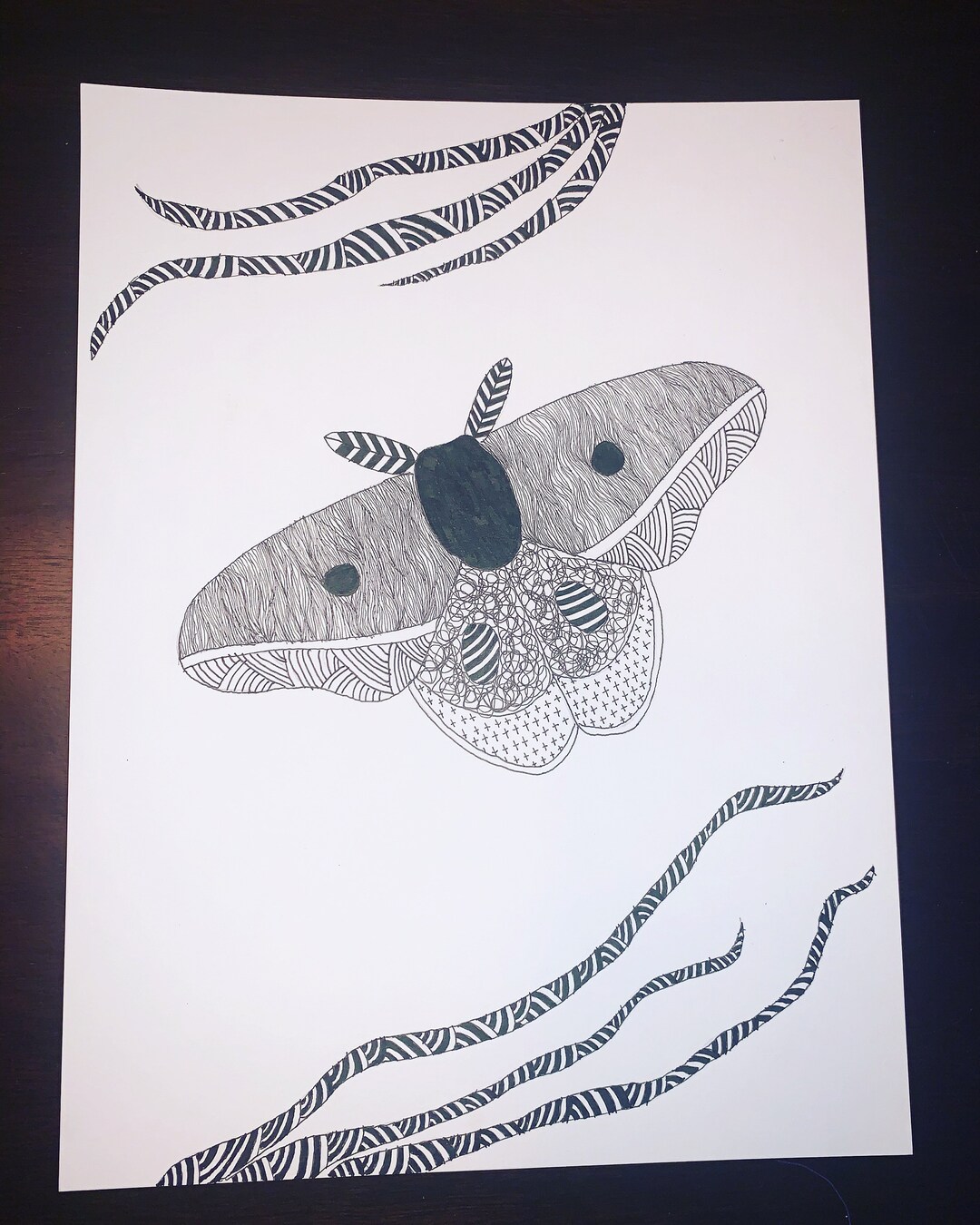 Insect Pen Drawing- Tim Burton Inspired - Etsy UK
