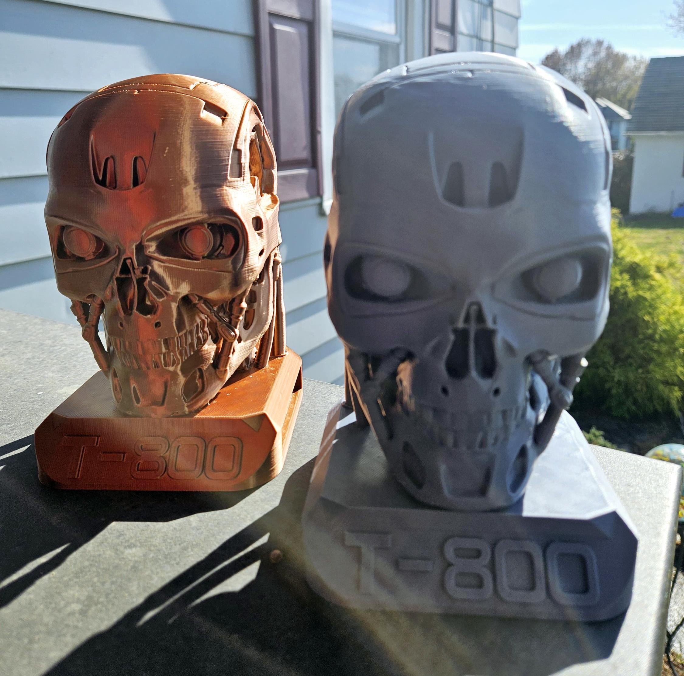 Terminator Endoskeleton Skull