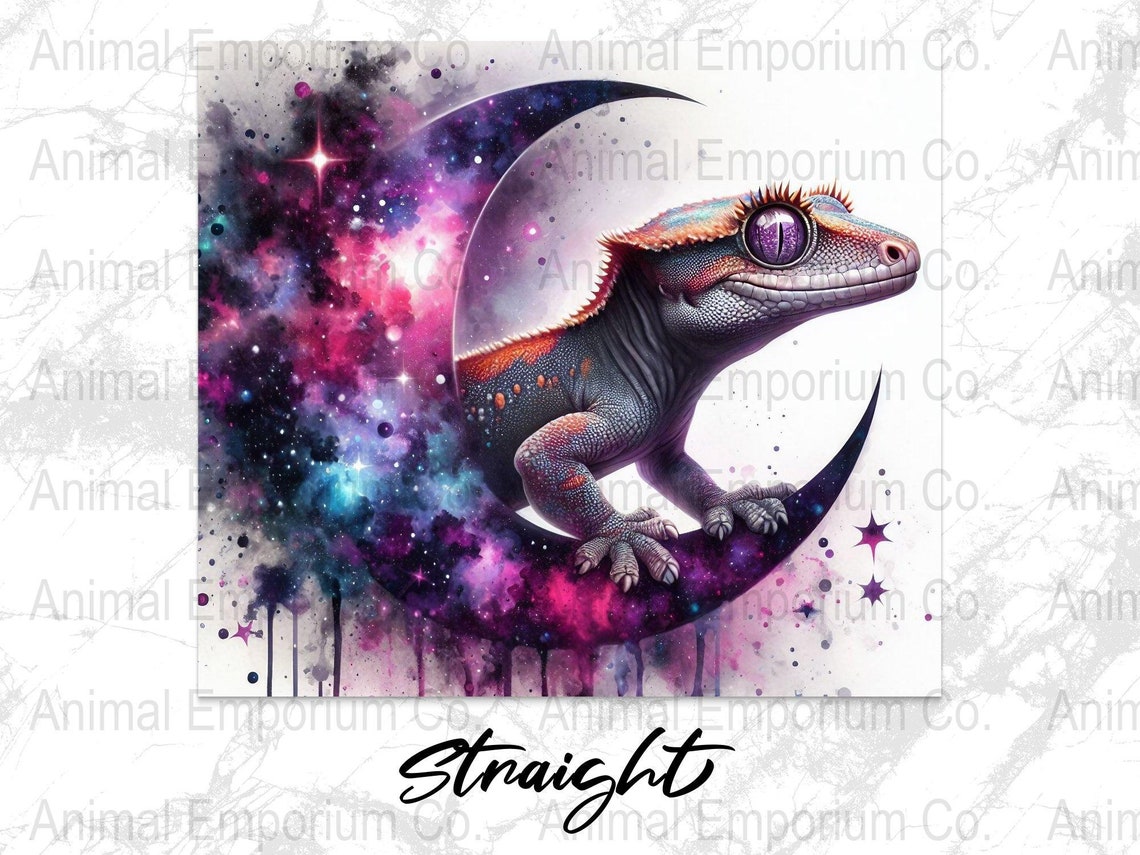 Gecko Tumbler PNG Wrap, Celestial Night Sky Lizard, Mystical Moon and ...